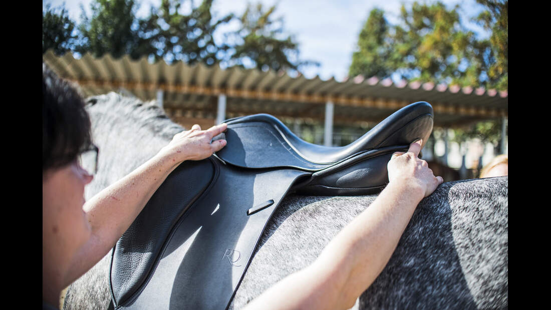 Sättel für Spezialfälle: Der richtige Sattel für besondere Pferderücken ...