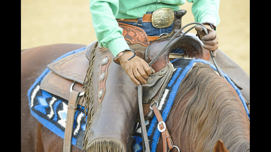 So lernen Sie, vom Pferd aus Tore zu öffnen | cavallo.de