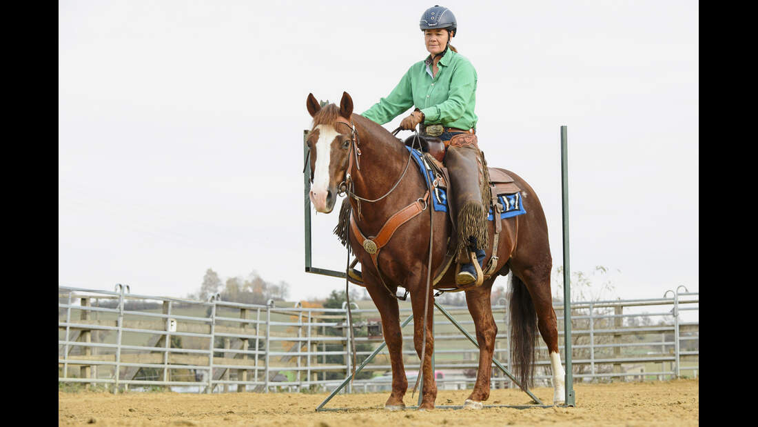 So lernen Sie, vom Pferd aus Tore zu öffnen | cavallo.de