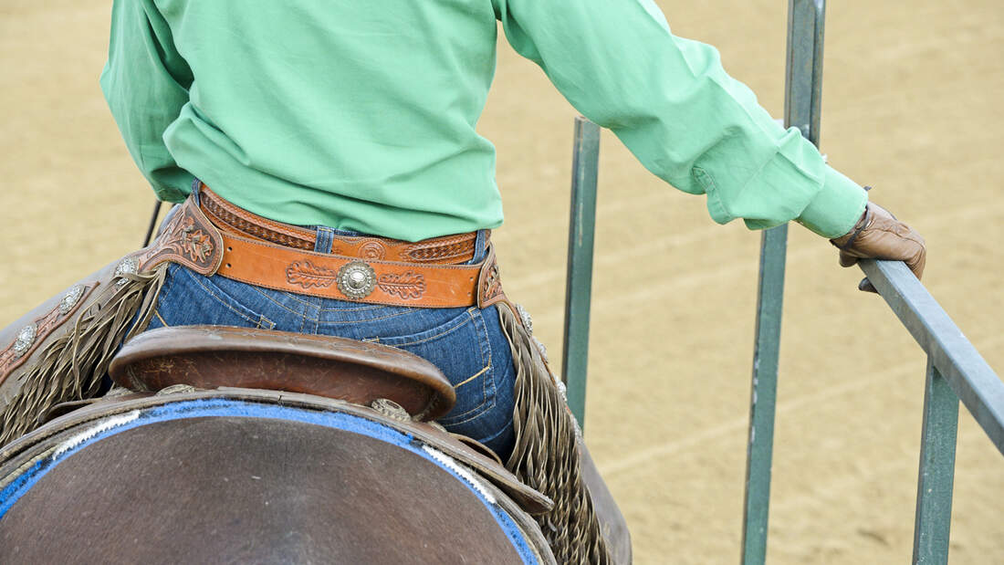 So lernen Sie, vom Pferd aus Tore zu öffnen - cavallo.de
