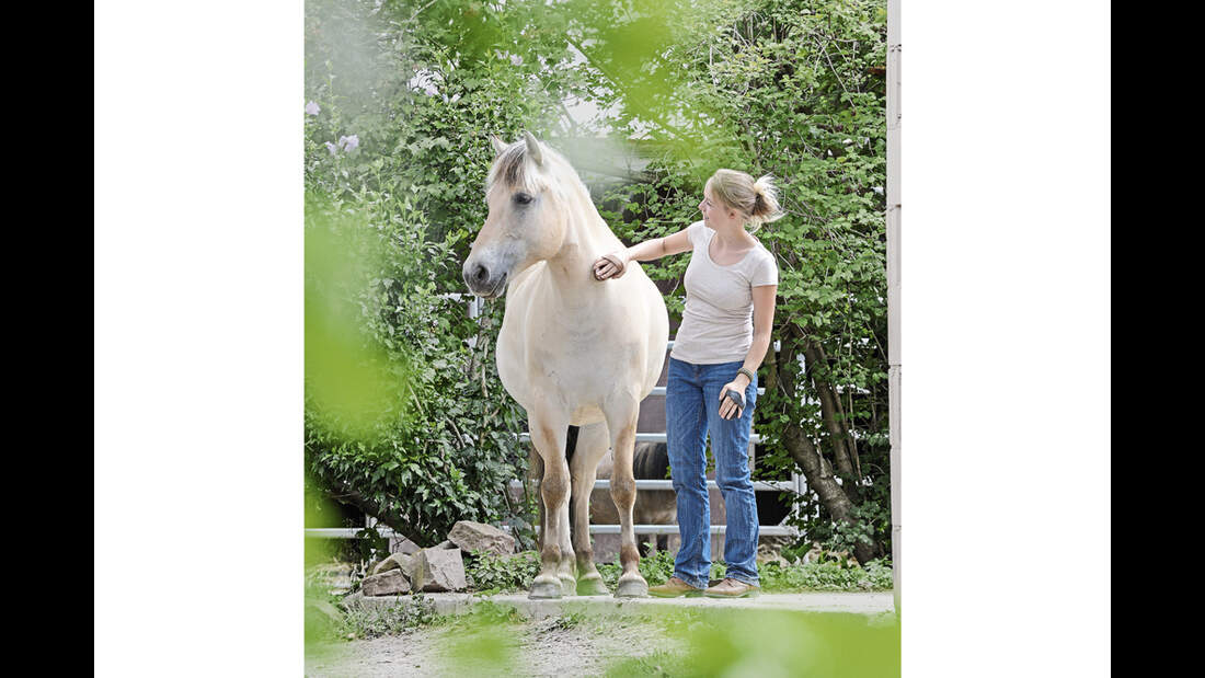 Kommunikation zwischen Pferd und Reiter - die besten Tipps | cavallo.de