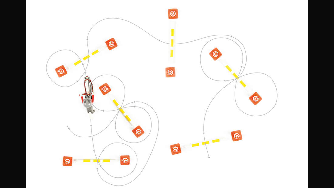Stangenarbeit mit nur einer Stange - cavallo.de