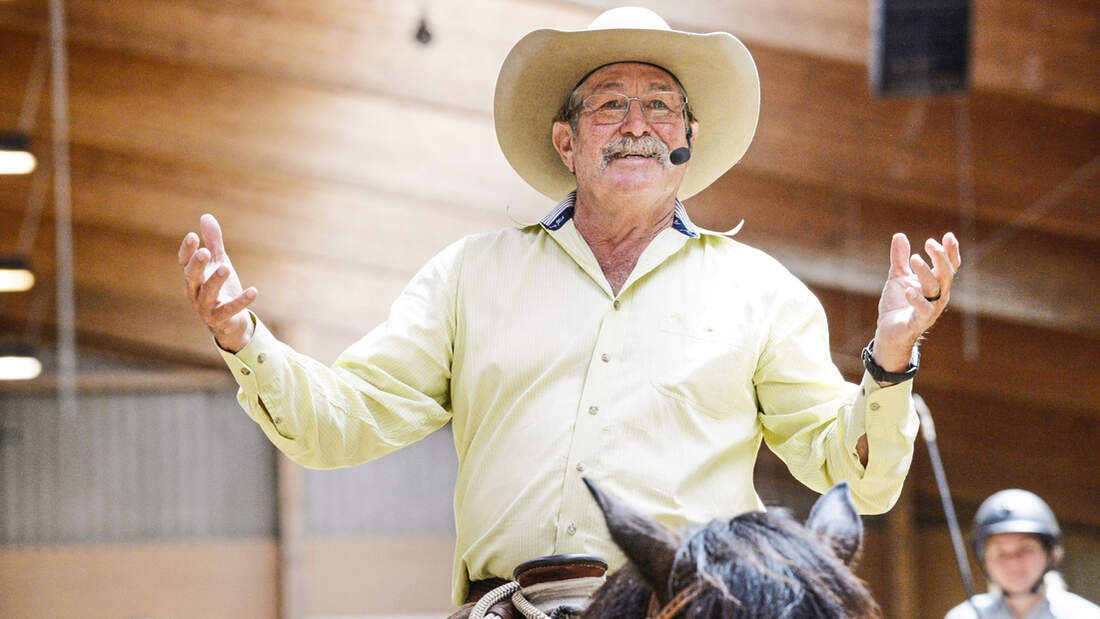 Natural Horsemanship: Kursbesuch bei Pat Parelli | cavallo.de