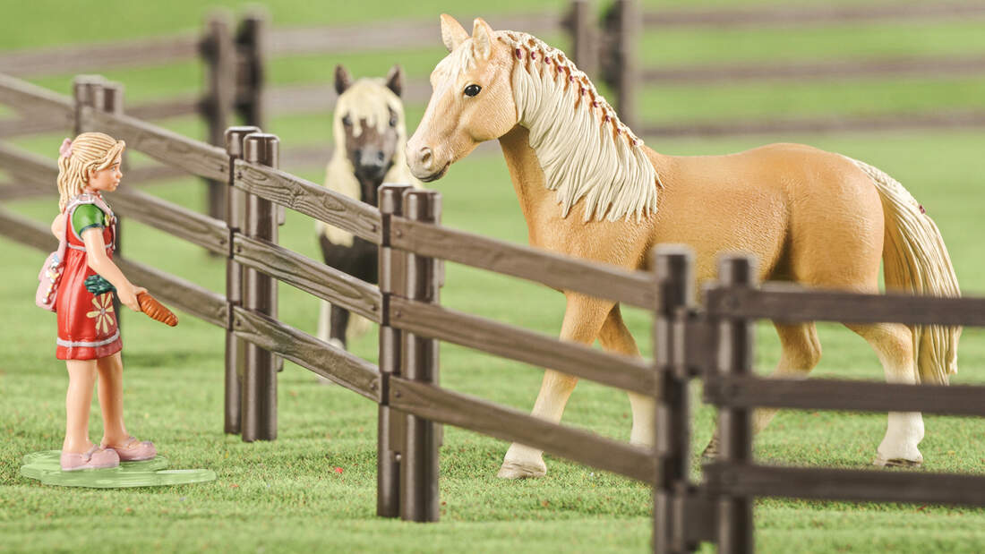 Zaun-Check und Tipps: So machen Sie Ihre Weide sicher | cavallo.de