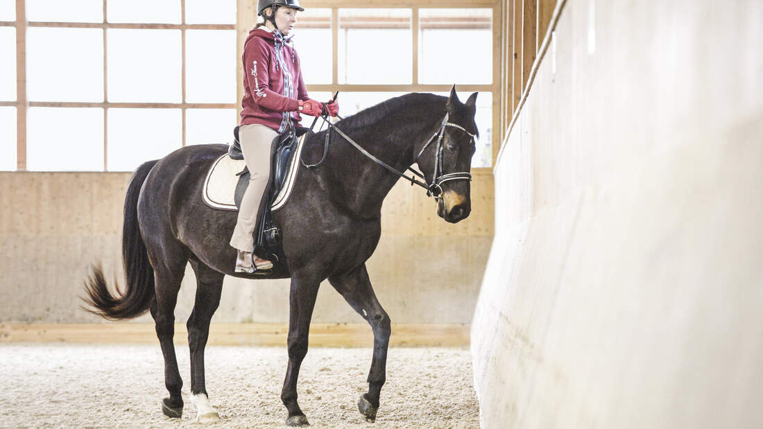 So schicken Sie Ihr Pferd richtig seitwärts | cavallo.de