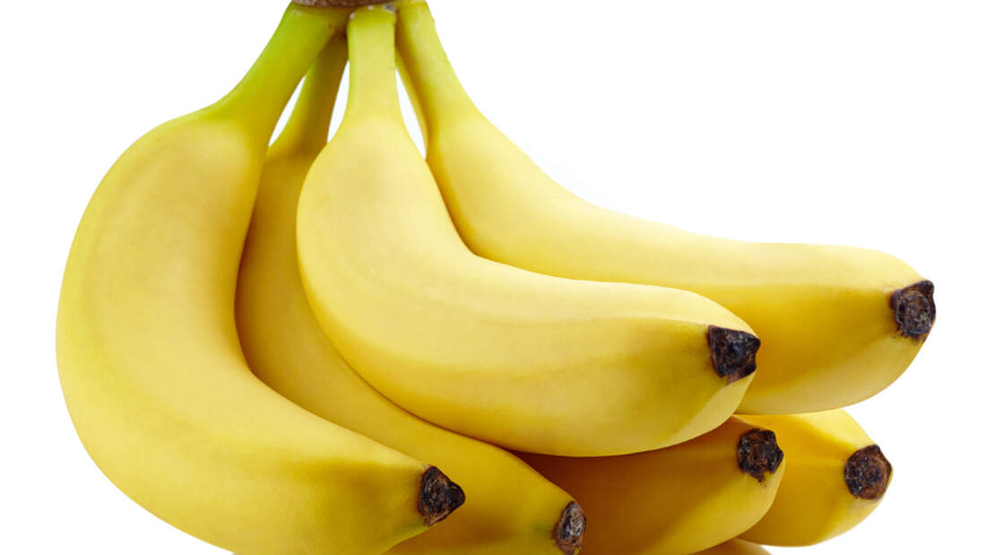Obst und Gemüse als Pferdefutter - darauf müssen Sie achten | cavallo.de