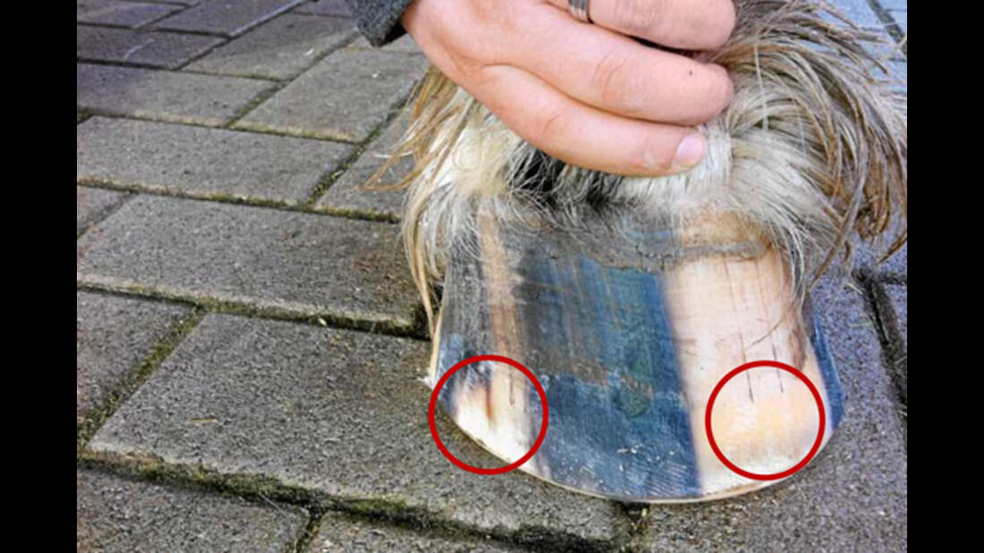 hufspalten-erkennen-und-behandeln-cavallo-de