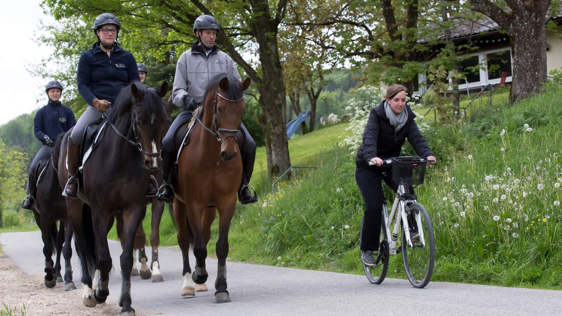 Gericht weist Klage von Radler gegen Reiter ab Gericht weist Klage von Radler gegen Reiter ab