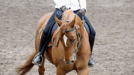 ECVM: Symptome, Diagnose & Behandlung